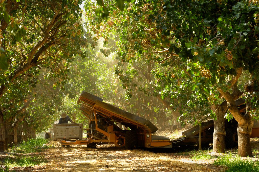 Our Difference - Touchstone Pistachio